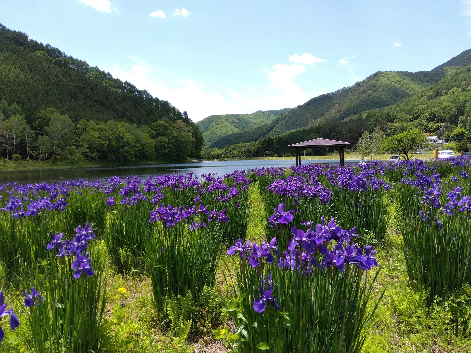 軽トラックでドライブ: たそがれ木曾人・道草日記